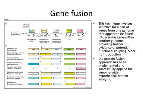 Ppt Metabolic Pathway I609 Phd Seminar Computational Techniques In Comparative Genomics