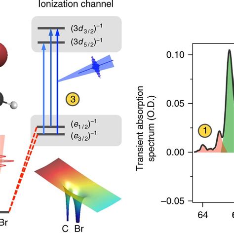 Experimental Attosecond Transient Absorption Spectroscopy Atas A The Download Scientific