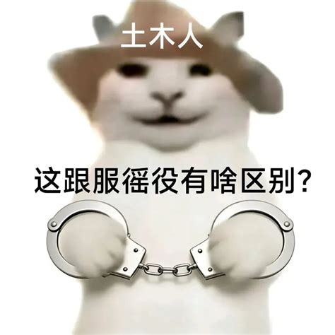 土木人戴手铐吐槽：这跟服徭役有啥区别？ 干嘛猫土木工程表情包表情包图片动图 求表情网 斗图从此不求人