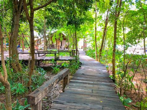 Skipper Land ร้อยเอ็ด คาเฟ่สายลูกทุ่ง ใกล้ชิดธรรมชาติ บรรยากาศน่านอน