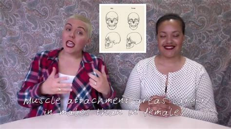 Materials Methods What S In A Skeleton Part I Sex Estimation YouTube