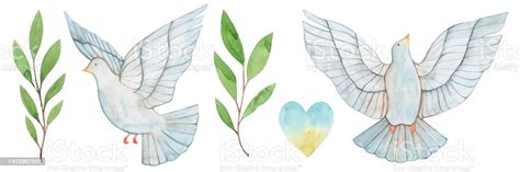 수채화는 평화의 흰색 비둘기를 설정합니다 손으로 그렸다 흰색 배경에 고립되어 있습니다 새 기호 녹색 가지 우크라이나어 국기 수채화에 대한 스톡 벡터 아트 및 기타 이미지