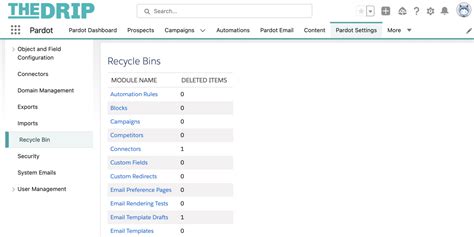 Pardot Archive And The Recycle Bin What To Delete When Pardot