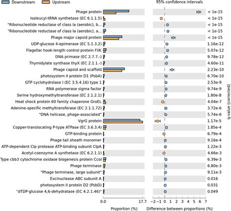 extended error bar plot comparing the functional classification into