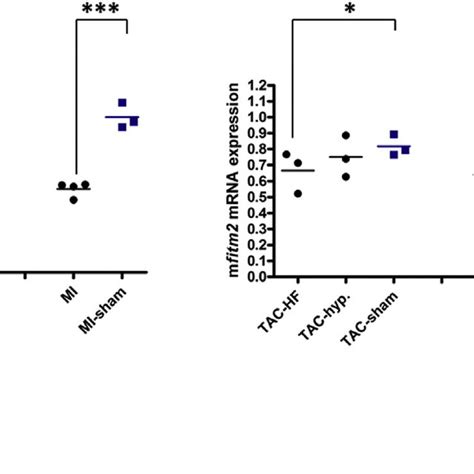 Quantitative Analysis Of Mrna Expression In Hearts From Tac And Mi