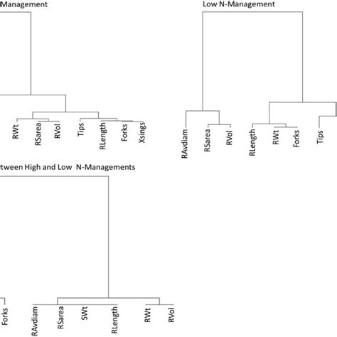 The Structure Of Genetic Correlations Between Traits Within And Between Download Scientific