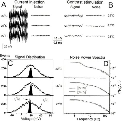 voltage signals evoked by gaussian current injection a and contrast