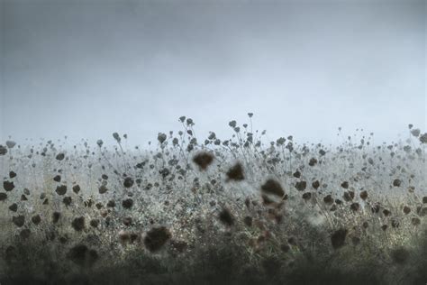 Inge Uiterwijk Per Van Der Horst Gallery