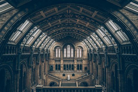 Museum Wallpaper Photos Download The Best Free Museum Wallpaper Stock