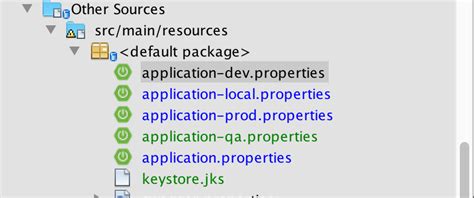 Spring Boot Java Io FileNotFoundException Home Ec User Src Main Resources Keystore Jks No