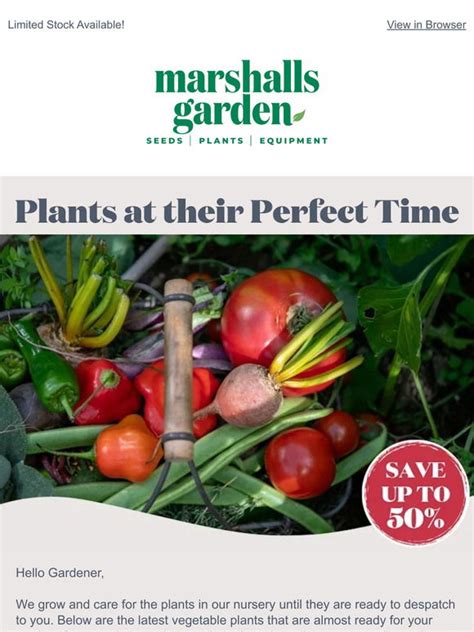 Birds And Bees Fresh From Our Nursery To Your Vegetable Plot Milled