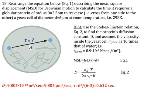 13 A Protein Was Shown To Exist In Two Conformations