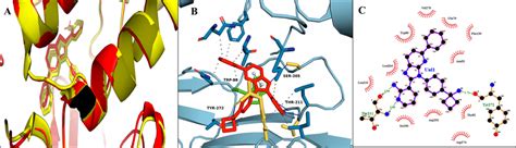 Validation Results Of Docking Procedure A Docked Complex Yellow And