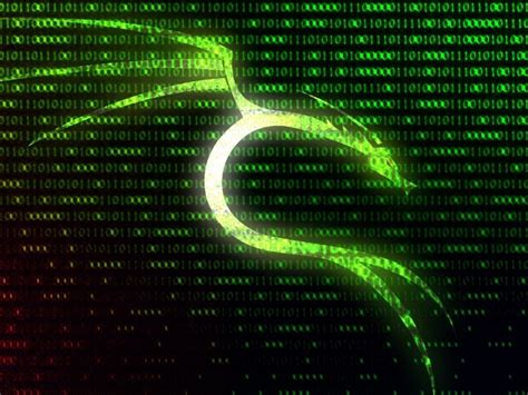 kali linux cyber security tasks upwork