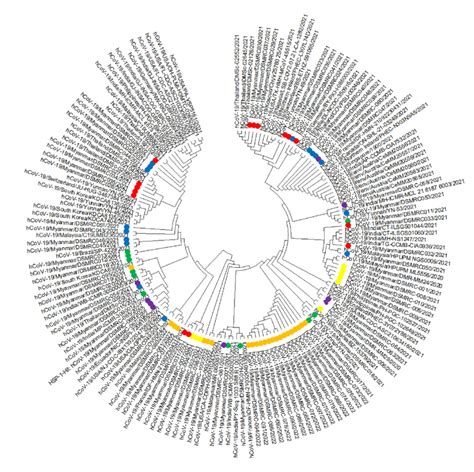 Phylogenetic Tree Comparing Myanmar Sars Cov 2 Sequences With 78 Download Scientific Diagram