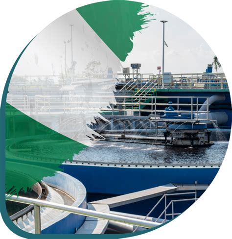 Edible Oil Extraction Plants And Refinery Manufacturers In Nigeria