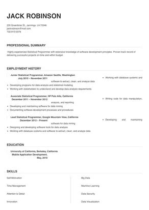 Statistical Programmer Resume Sample Tips Online Resume Builder