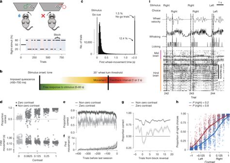 A Brain Wide Map Of Neural Activity During Complex Behaviour بتوقيت بيروت اخبار لبنان