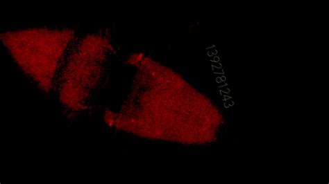 Slideshow Project C And Project D First Look Screenshots