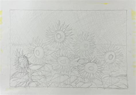 일곱 송이 해바라기