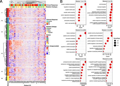 correlated gene modules enrich for distinct biological functions a