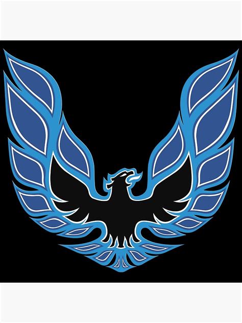 Blue Firebird Logo Firebird 5 0 0 Dbms Release Best New Features