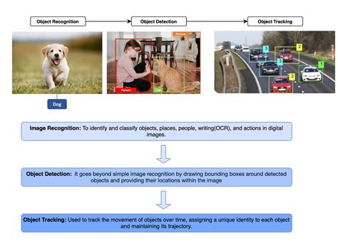 Image Detection Using Opencv In Python A Beginners Perspective By