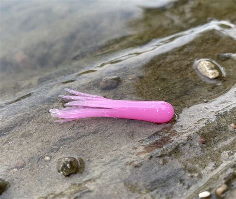 Hot Pink 3pck 175” Tube Jigs Etsy