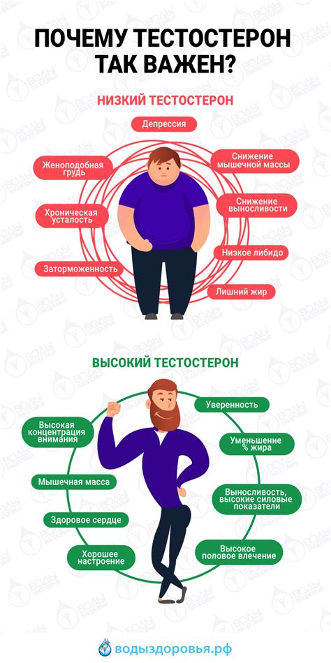 Как повысить уровень тестостерона: 10 способов повысить уровень ...