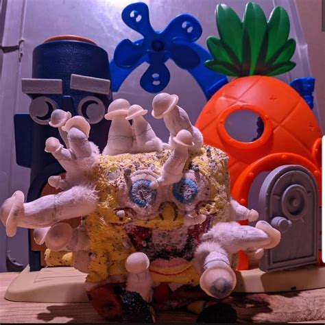 Spongebob Decided To Swap Holes With Dicks Rmildlypenis