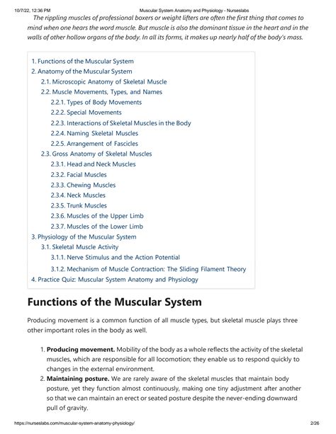 Solution Muscular System Anatomy And Physiology Nurseslabs Studypool