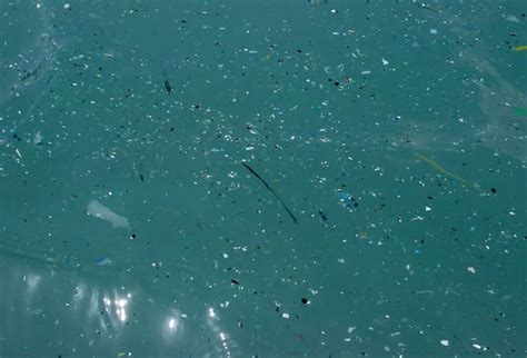 Space Based Detection Novel Technique Maps Marine Microplastic Pollution The Fredy And Nadine