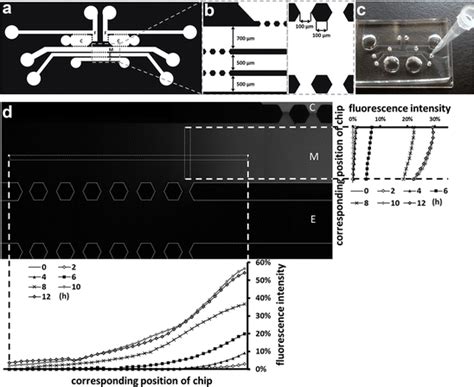 Design And Structure Of Microfluidic Device A Configuration Of The Download High