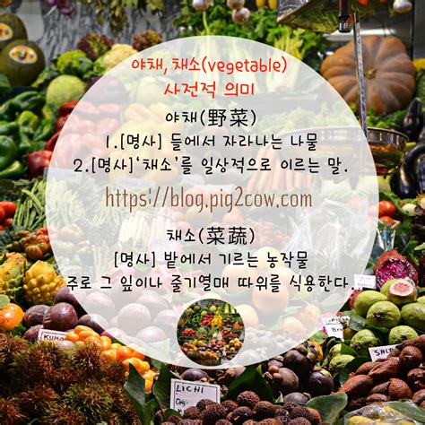 채소 야채 과일 차이 그리고 구분 방법 Oo로 끝