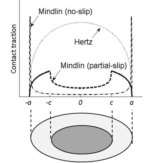 Contact Traction Distribution Of Two Contacting Spherical Bodies Download Scientific Diagram