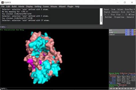 Pymol必备绘图技巧，从此游刃有余！ 知乎