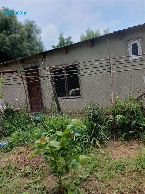 იყიდება 80 მ² სახლი აგარაკი თიანეთი თიანეთის რაიონი სოფელი ორხევი დაბა სიონთან