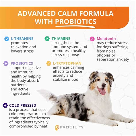 Nootie Progility Calming 90 Count Pet Supplies Online Sale