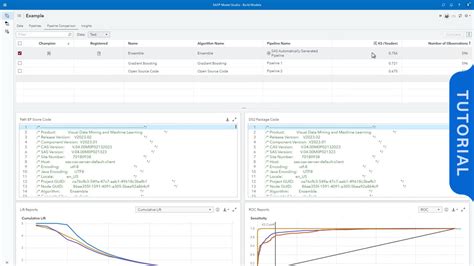 Manage Models With Sas Model Manager Sas Video Portal
