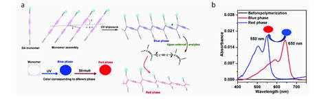 a structure of pda in different phases and the colorimetric