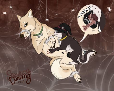 Rule 34 Anatomically Correct Animal Genitalia Animal Pussy Canine