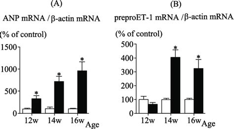 The Gene Expression Levels Of Atrial Natriuretic Peptide Anp Mrna A Download Scientific