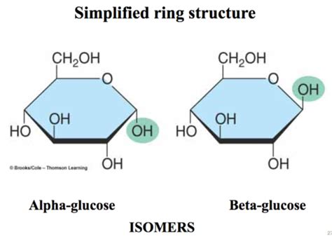 Alpha And Beta Glucose Ring Structure