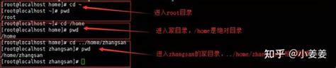 Linux最常用的 个命令适合初学者练习 知乎