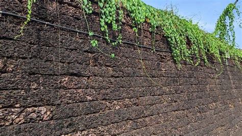 Somanath Balakrishnan On Linkedin Openais Gpt 35 Api — Custom