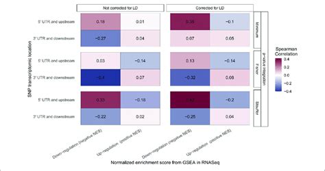 Correlation Of The Gene Set Enrichment Analysis Gsea Algorithm
