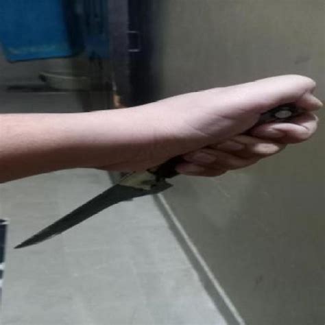 Knife Detection Object Detection Dataset V4 2024 04 23 4 35pm By