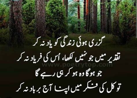 Linkedinconnections Sameed Ahmad