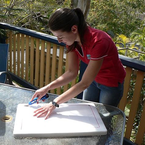 Make Your Own Bug Box Bugs Ed