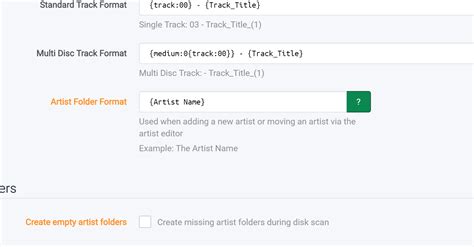 Album Folder Format Option Missing Lidarr